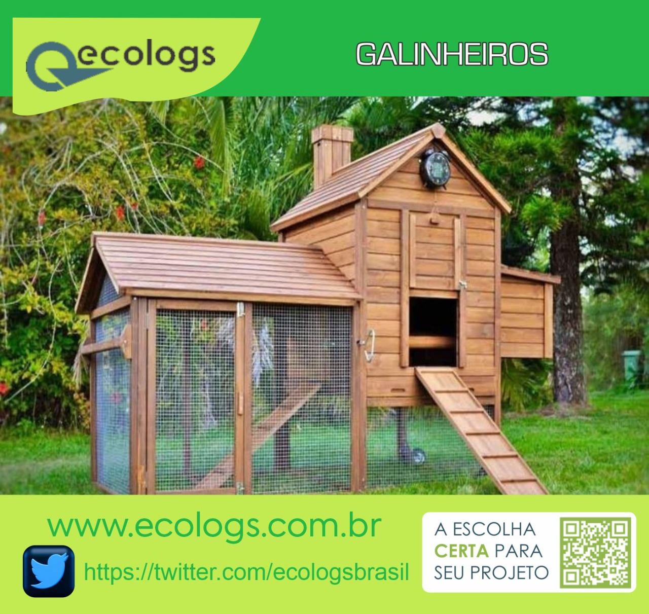 Galinheiro, algumas curiosidades. - ECOLOGS